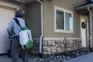 Pointe Pest Control – Commercial and Residential Pest Control Experts