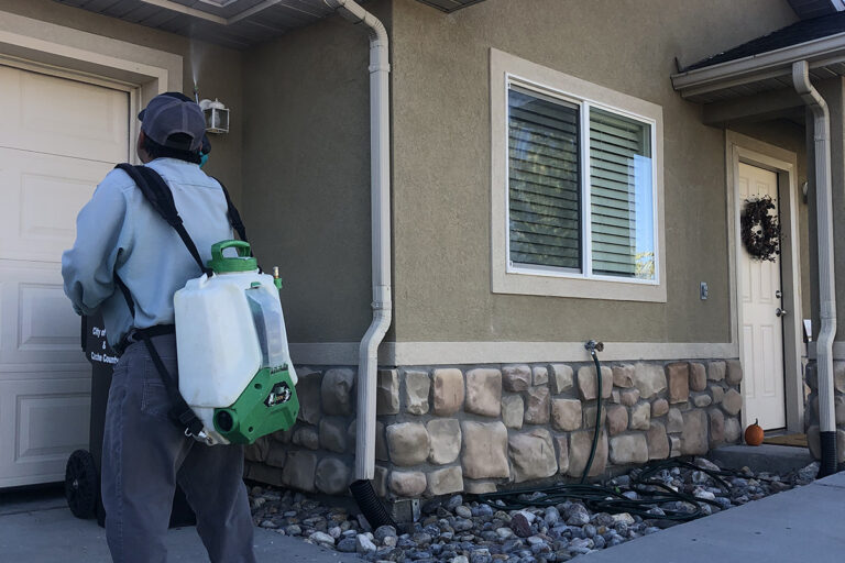 Pointe Pest Control – Commercial and Residential Pest Control Experts